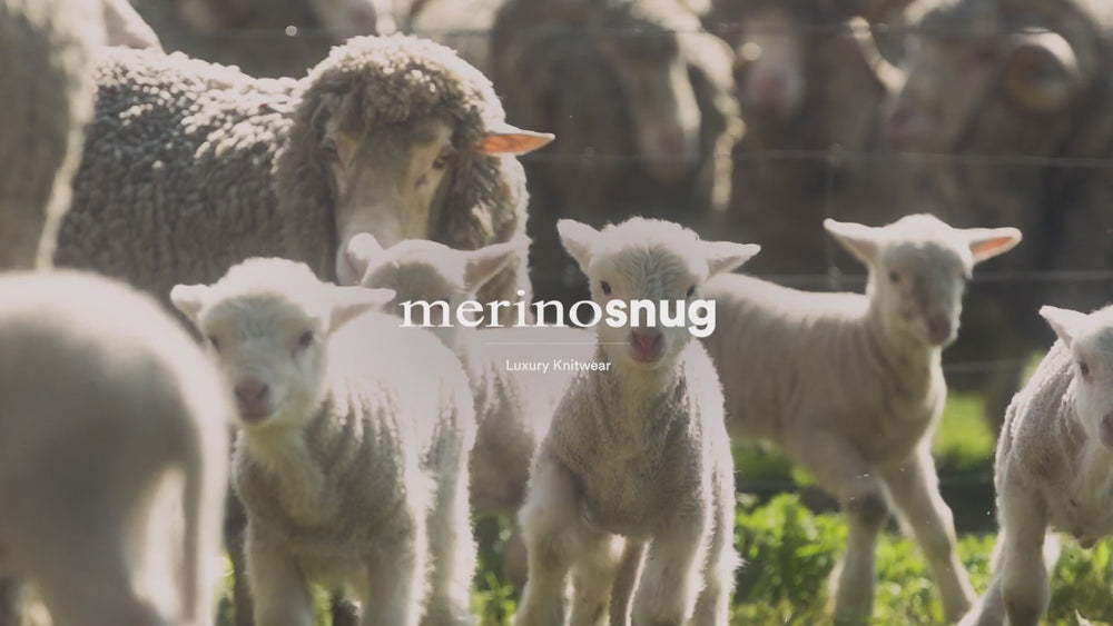 Brisbane – Merinoandco